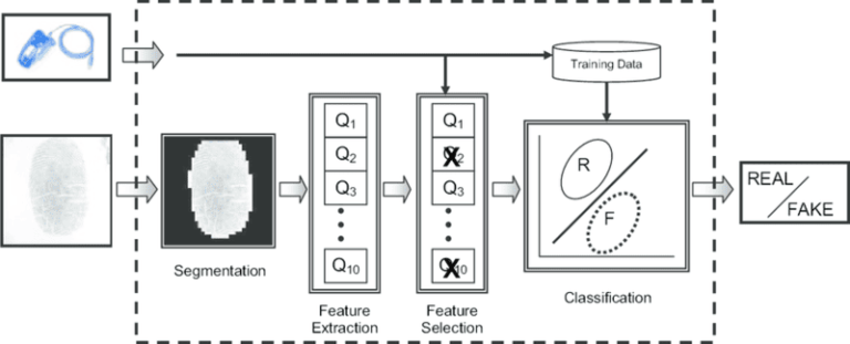 Liveness Detection: The Key For Secure EKYC And Biometrics