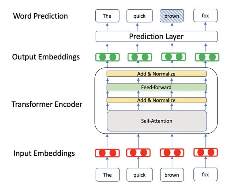 Mô Hình BERT Là Gì? Ứng Dụng, Vai Trò Của BERT Trong NLP