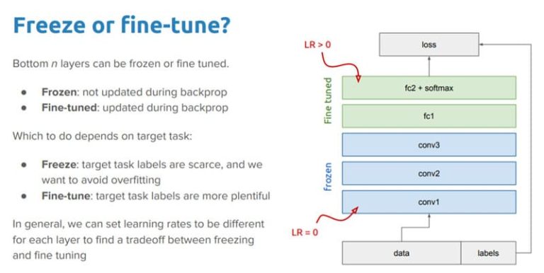 Transfer Learning Là Gì? Transfer Learning Vs Fine-tuning