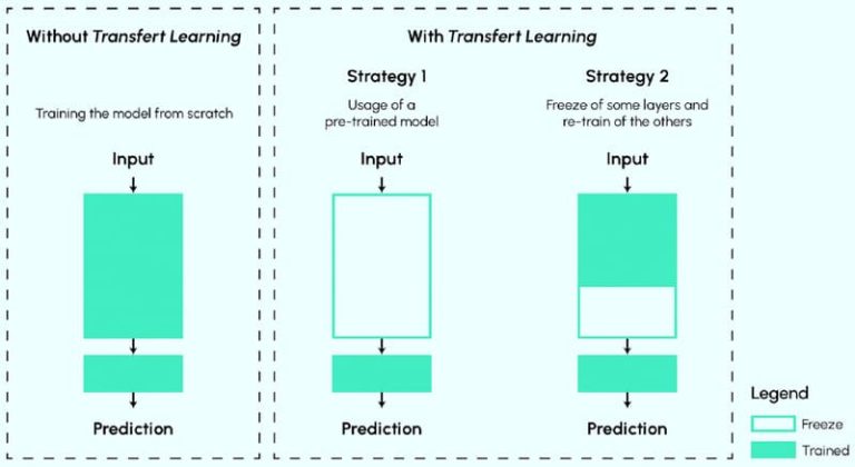 Transfer Learning Là Gì? Transfer Learning Vs Fine-tuning