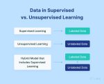 Supervised Learning Là Gì? Ví Dụ Về Học Có Giám Sát